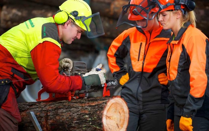 Ratgeber - Biofire Österreich
